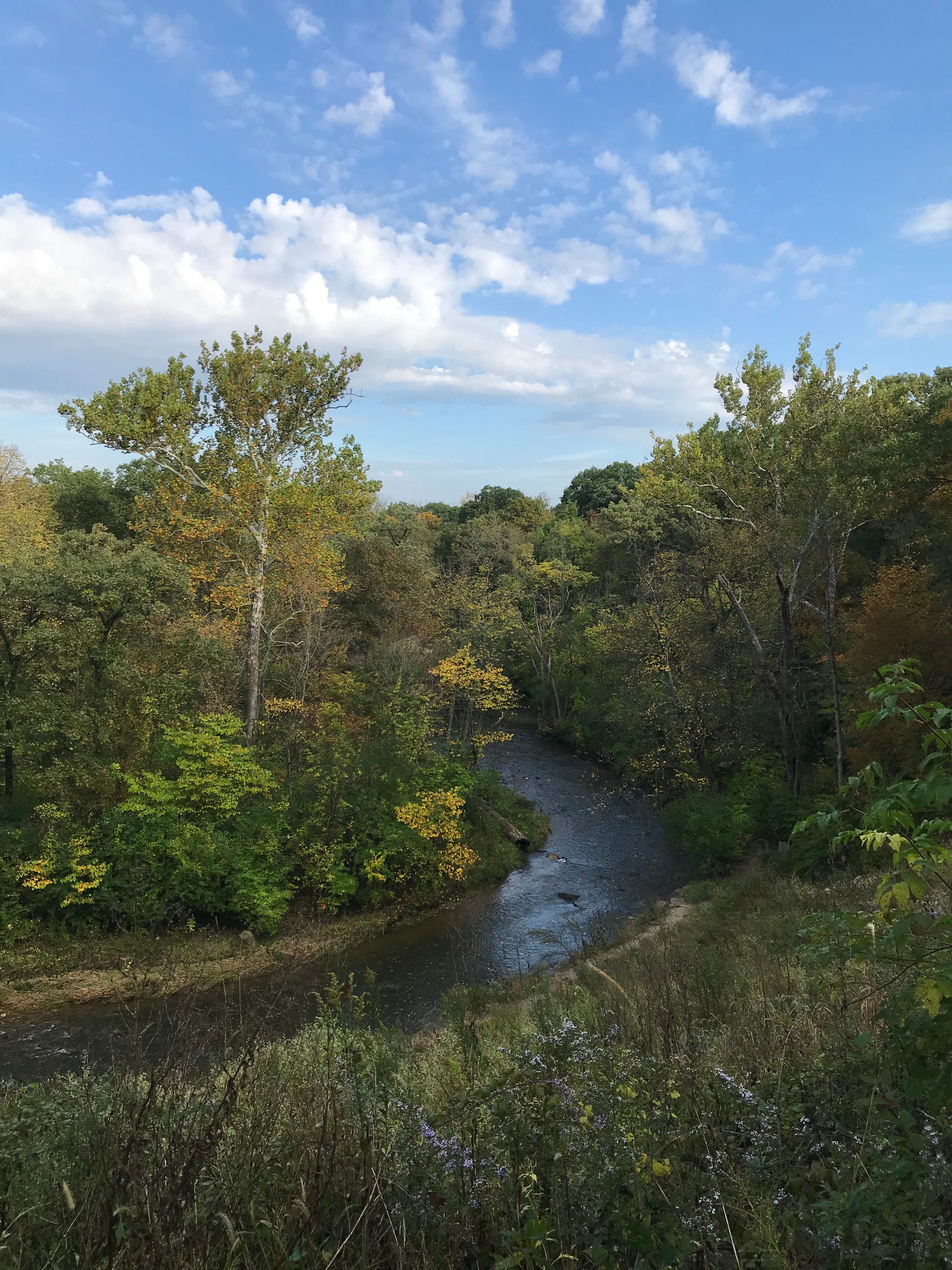 Five places to go birding in and around Chicago this fall