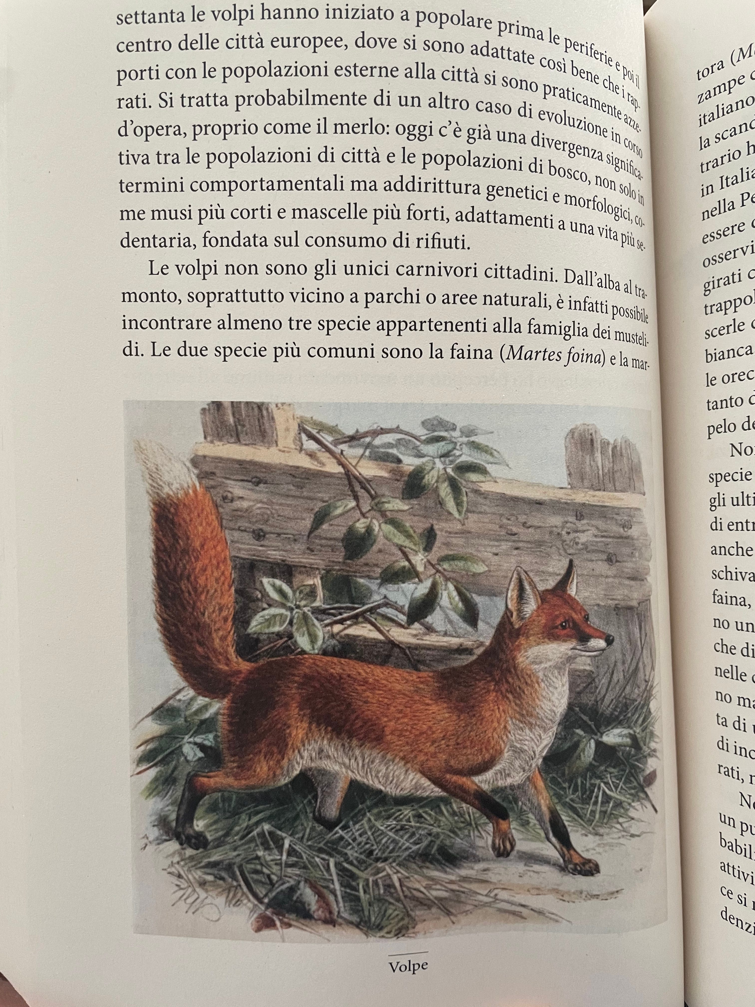 Recensioni - "Bestiario invisibile" di Marco Granata