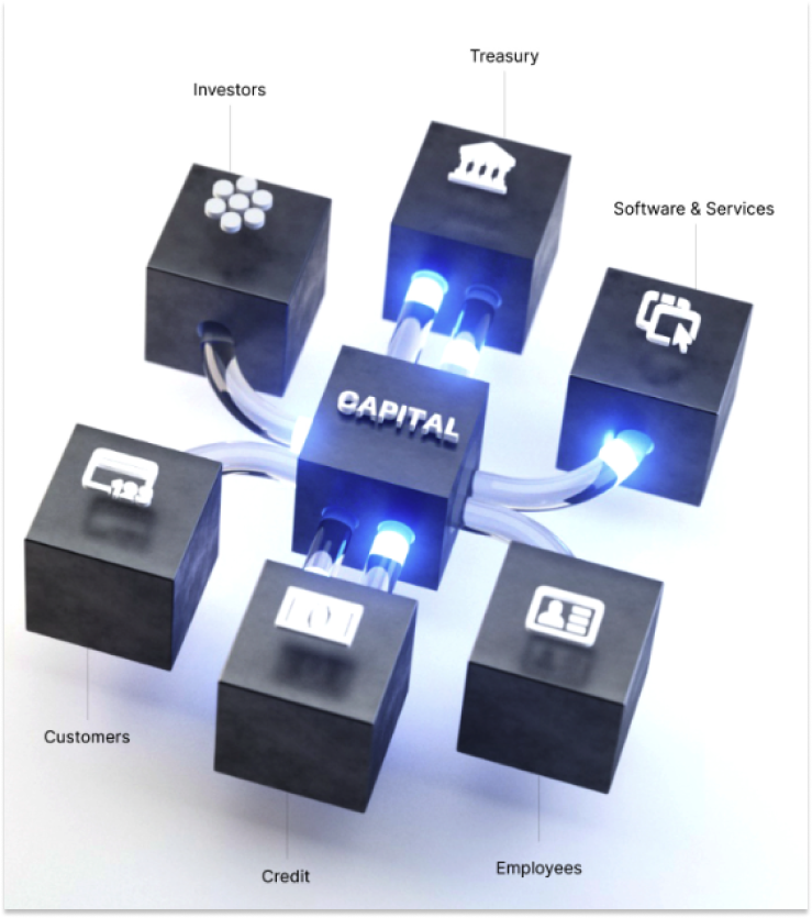 Capital & Taste - Not Boring by Packy McCormick