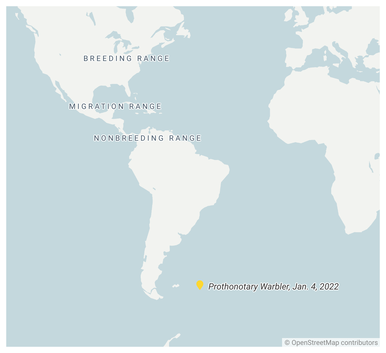 Jan. 2022 Southern Ocean Prothonotary Warbler - by Alex Tey