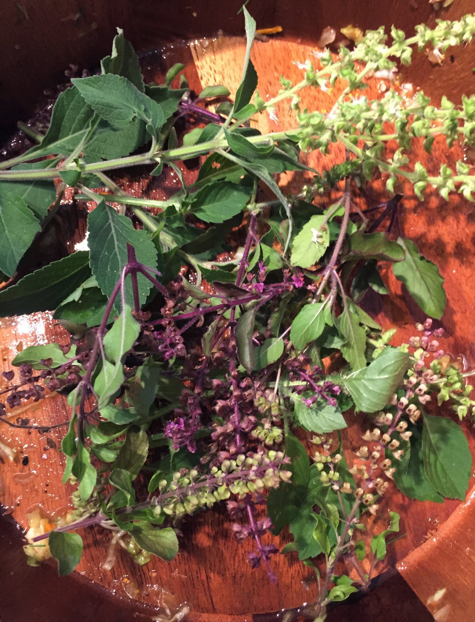 Tulsi: The Queen of Herbs - by Gavin Mounsey