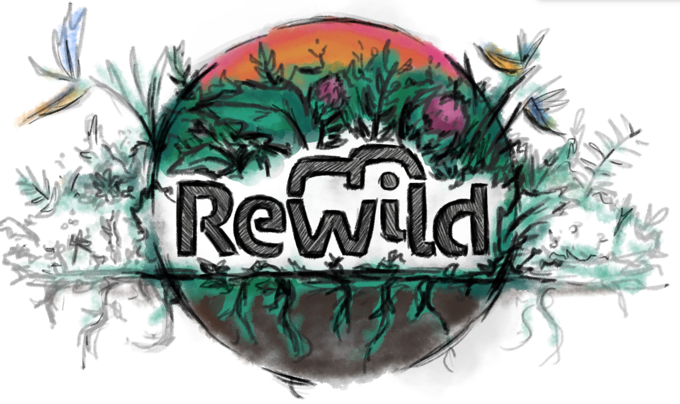 ReWild Explained | Deep Ecology - by Rewild Africa