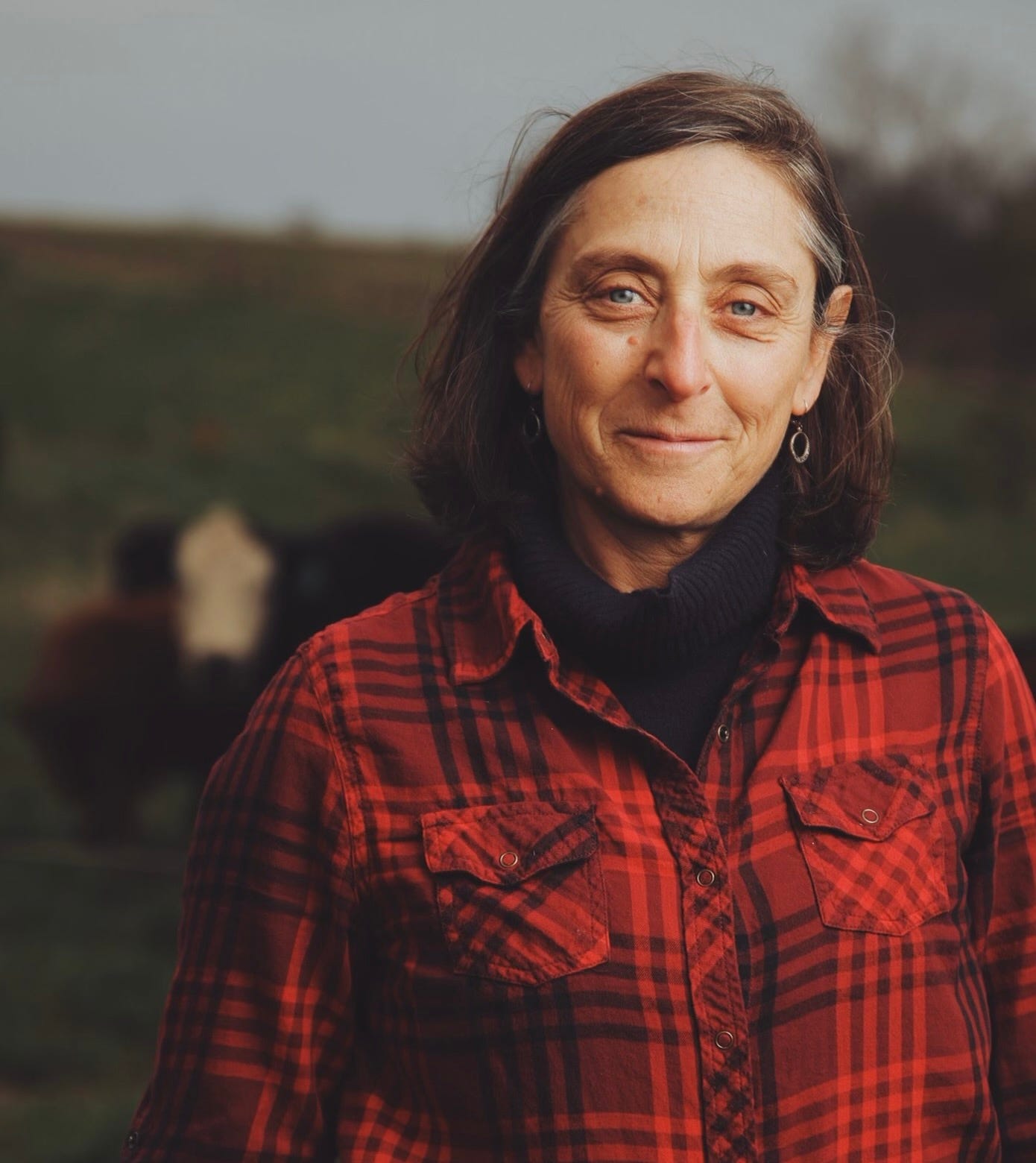 Beth Hoffman | Substack