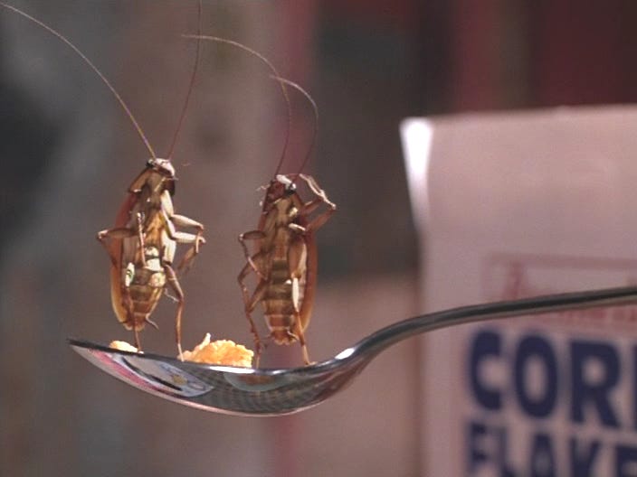 Hollywood's Most Abominable Live-Action Talking Animals (Part II)