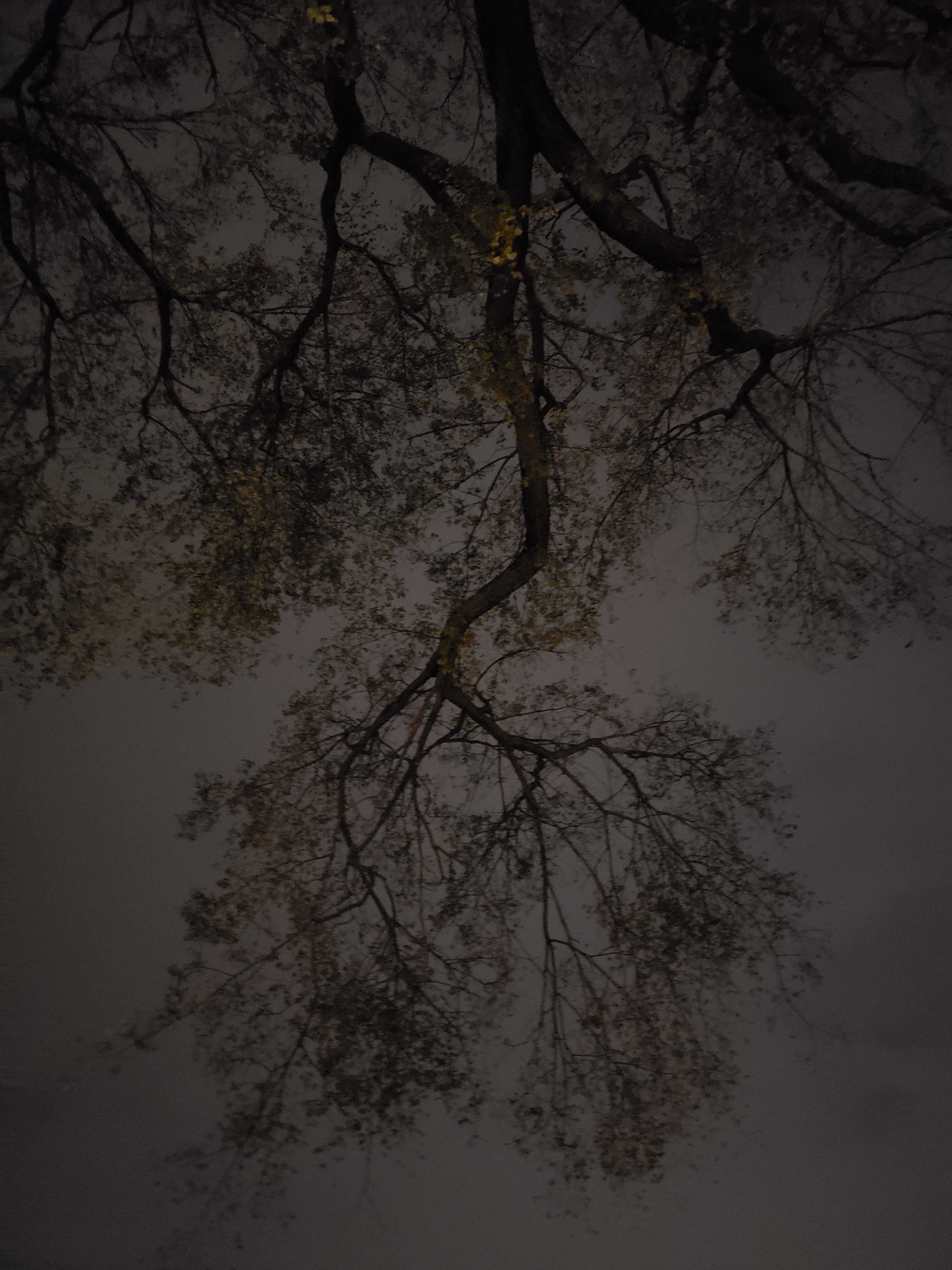 Solitude - Peter Daou