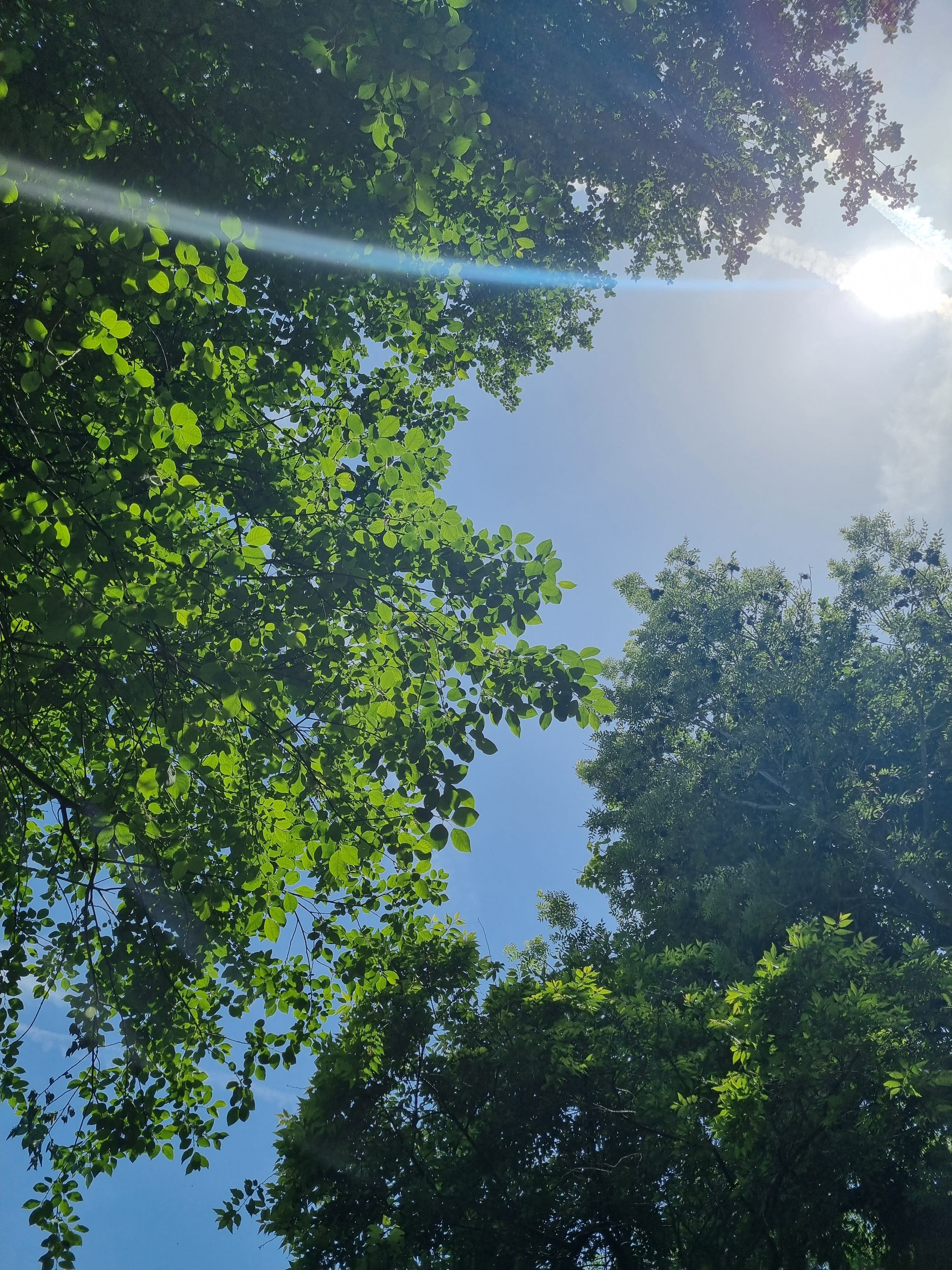 The Heeding | Emma Thompson | Substack