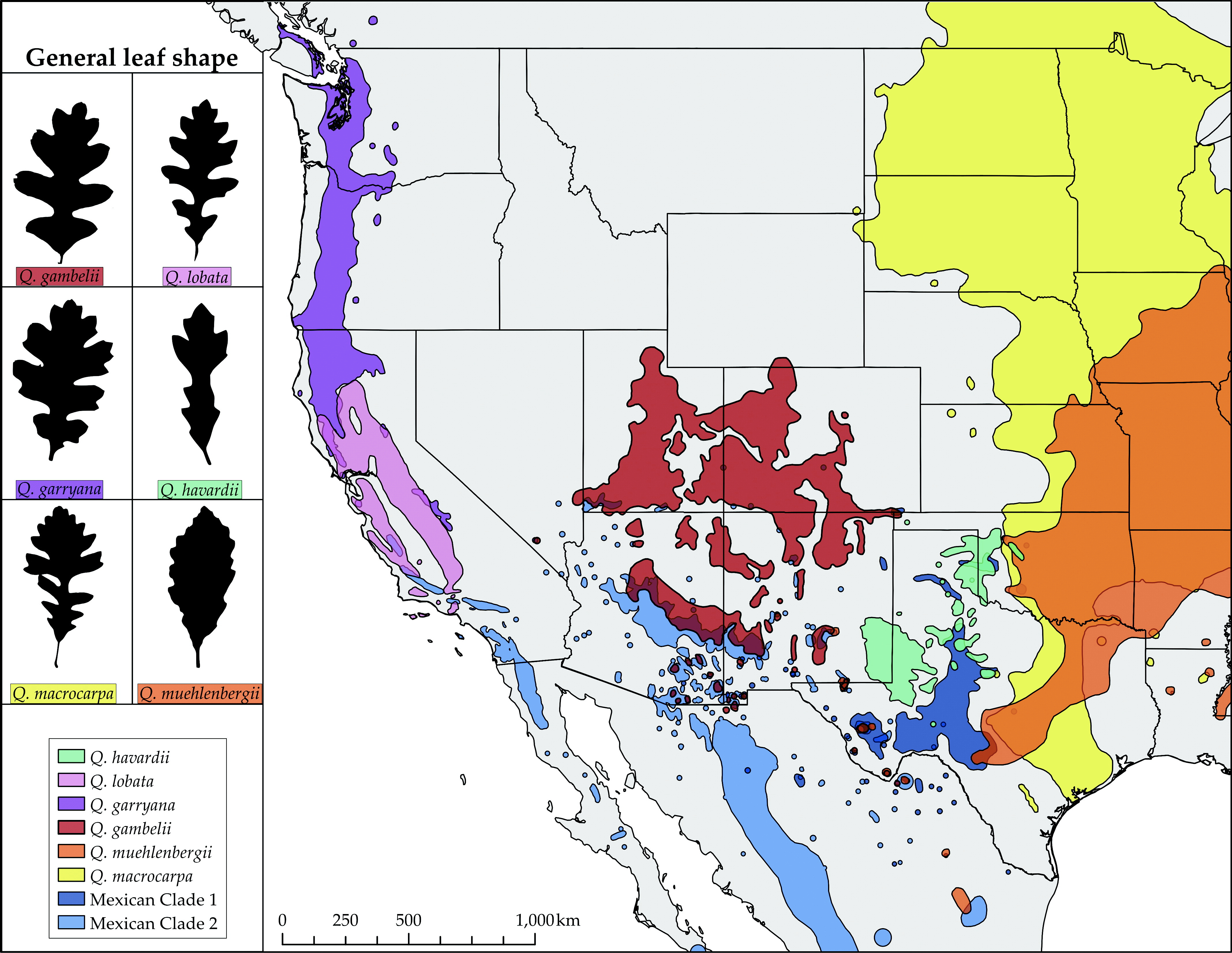 Acorns and Empire - by Hydric - Pyrophytic Futures