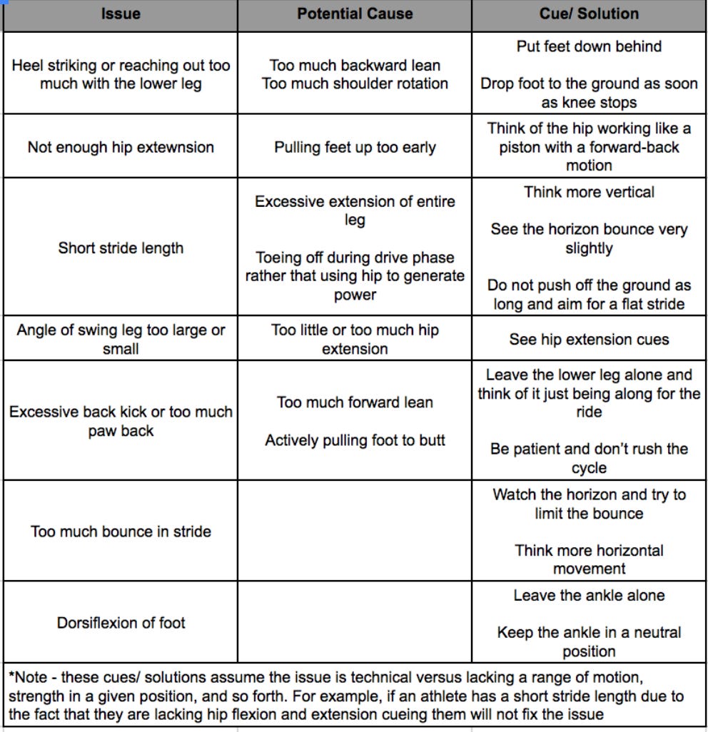 Posture, Gait, & Integrated Biomechanics