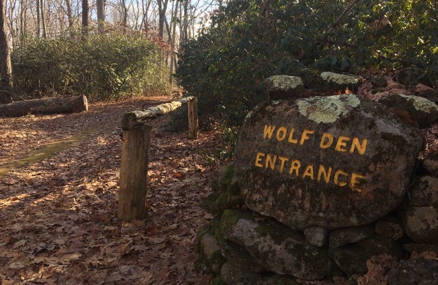 The Last Wolf of Connecticut - by Miles Howard