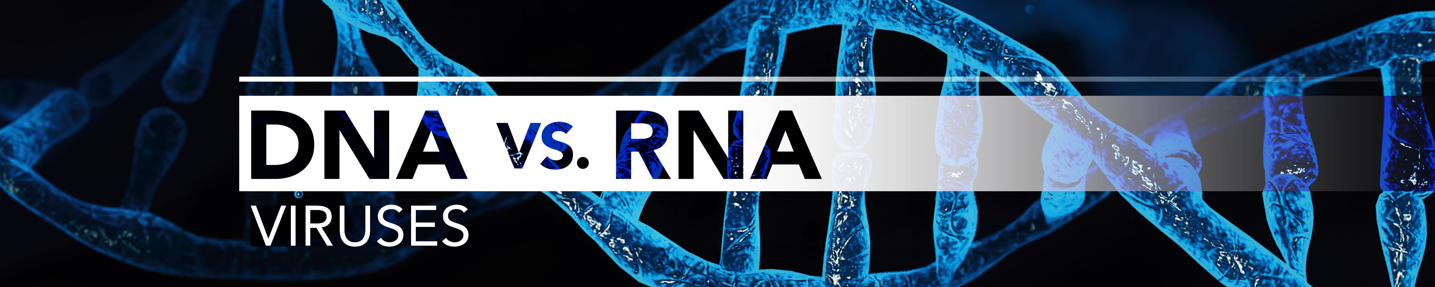 Breaking it Down: Parts of a Virus