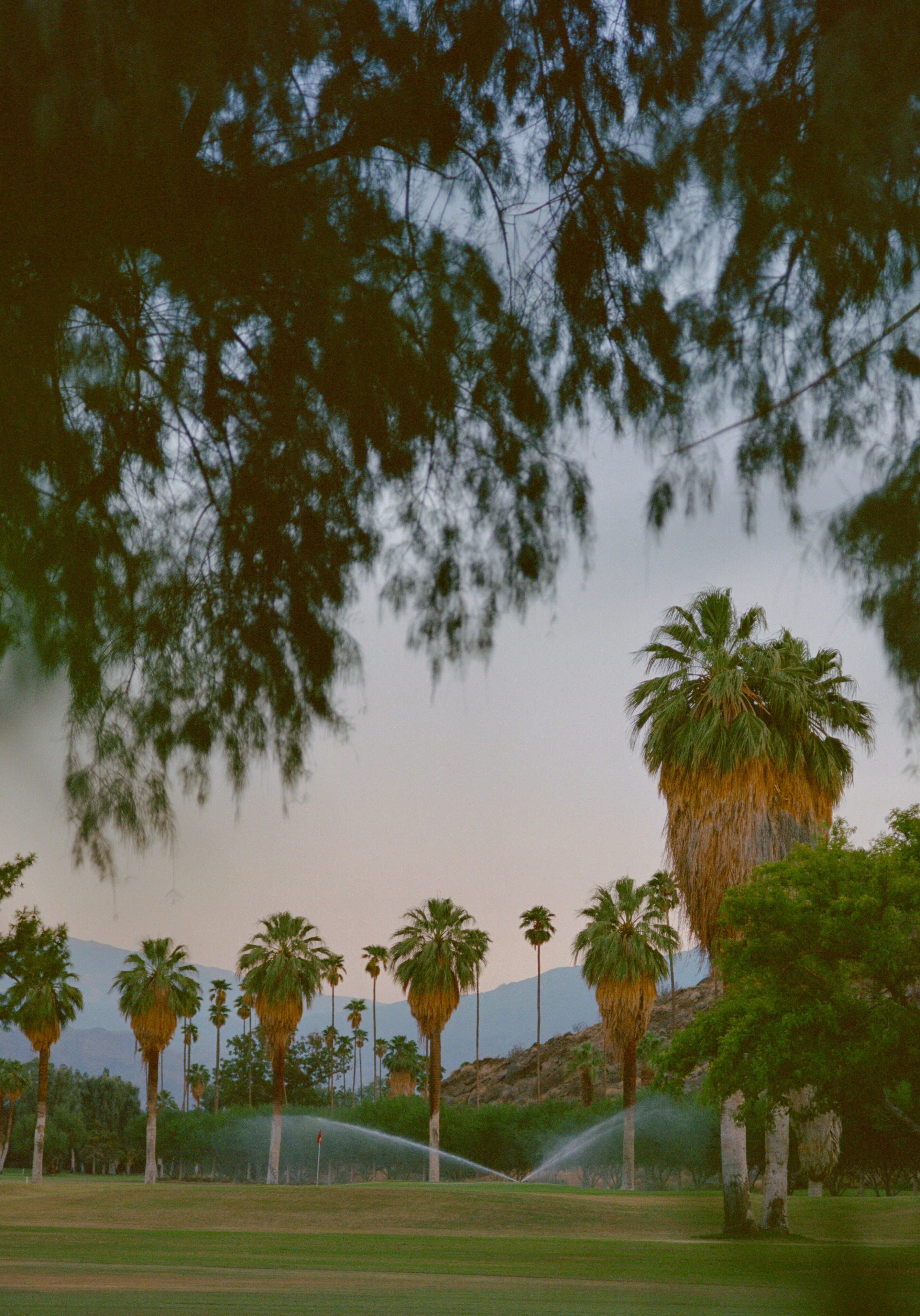What Does Your Paradise Look Like? - Chris Wallace