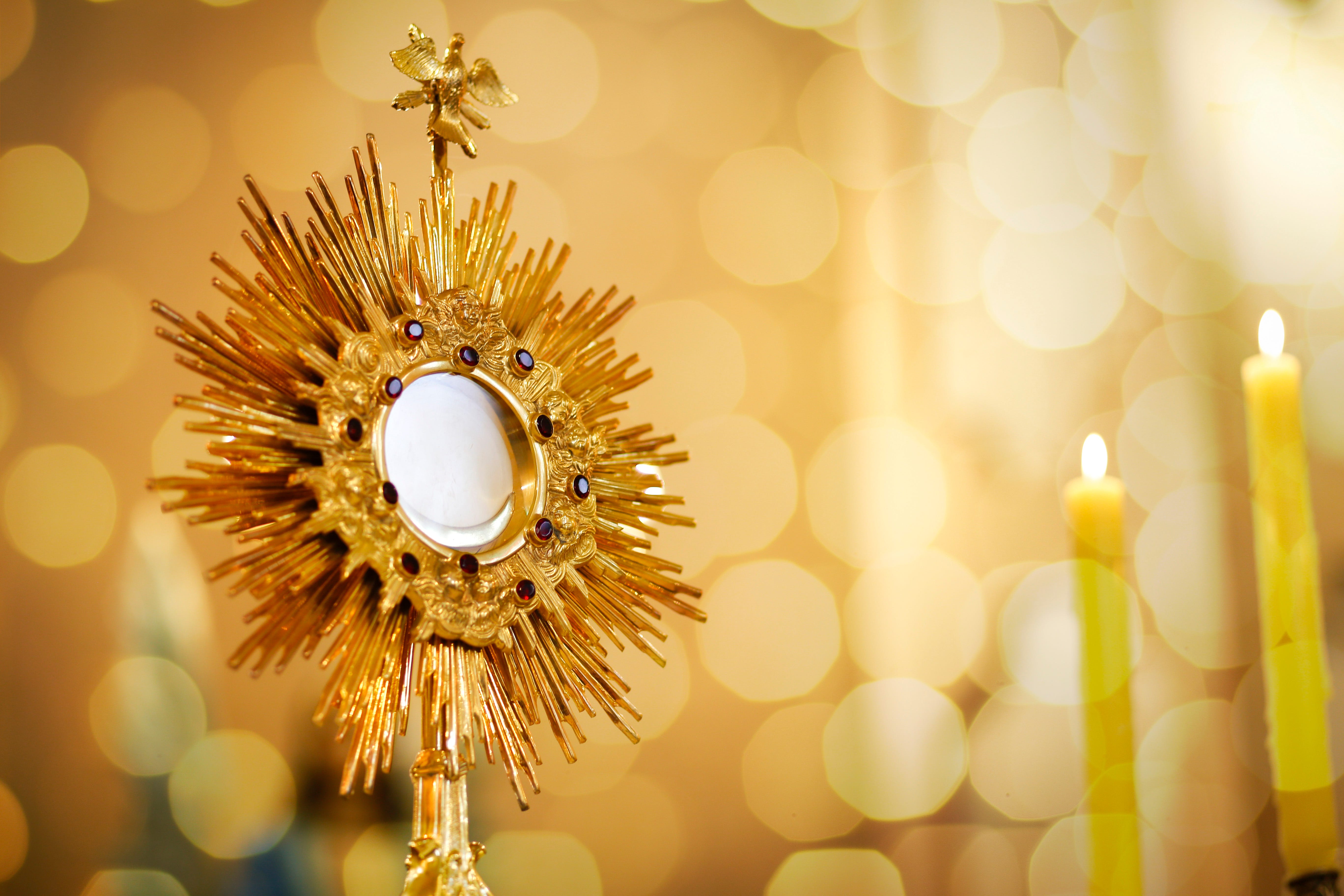 Does it matter what we sing at Mass? - by Mary Farrow