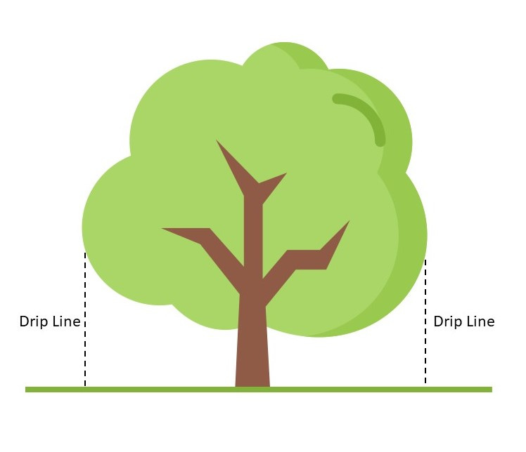 Feeding Hungry Plants - The Overscheduled Gardener