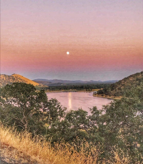 Marcia Beauchamp | Substack