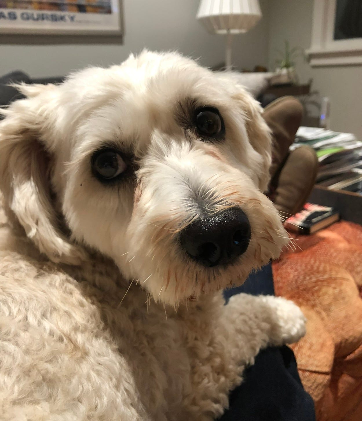 Andrea Dooley | Substack