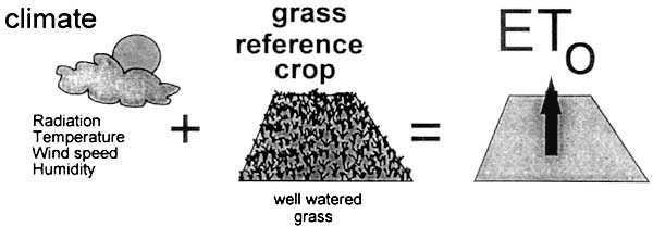 Reference evapotranspiration for irrigation - Open-Meteo