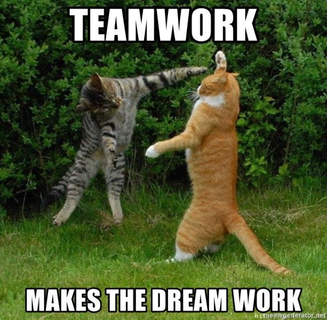 Teamwork Cat Meme
