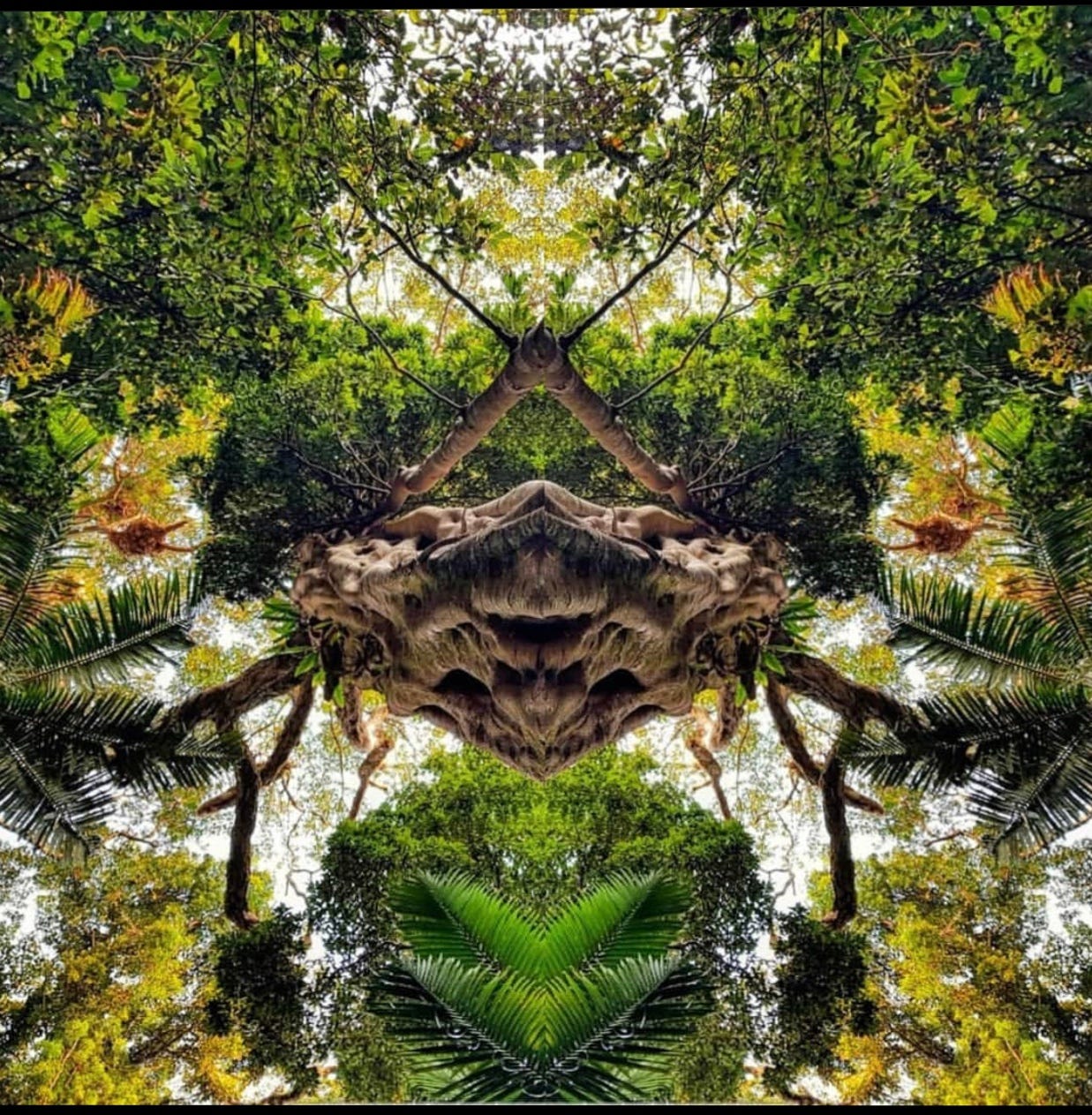 Prologue To The Descent - by Paul Busch