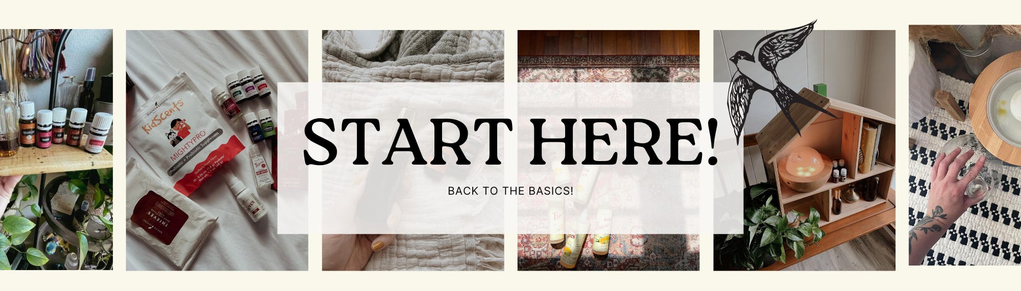 Essential Oils 101 - by Carli DeVance