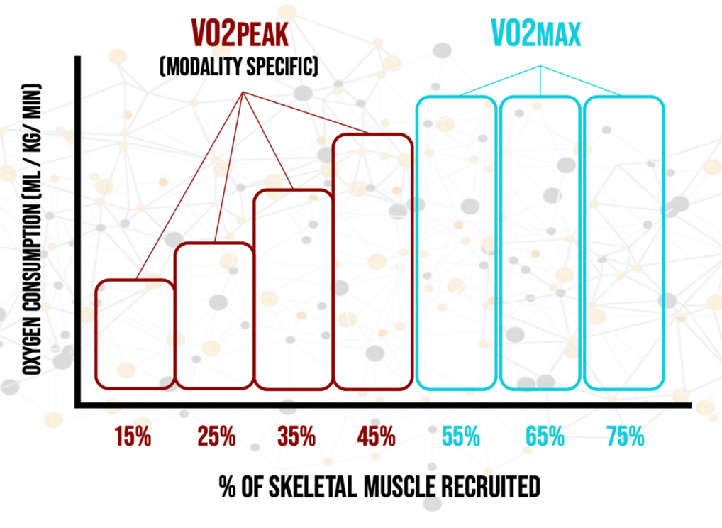 VO2 Max Versus VO2 Peak