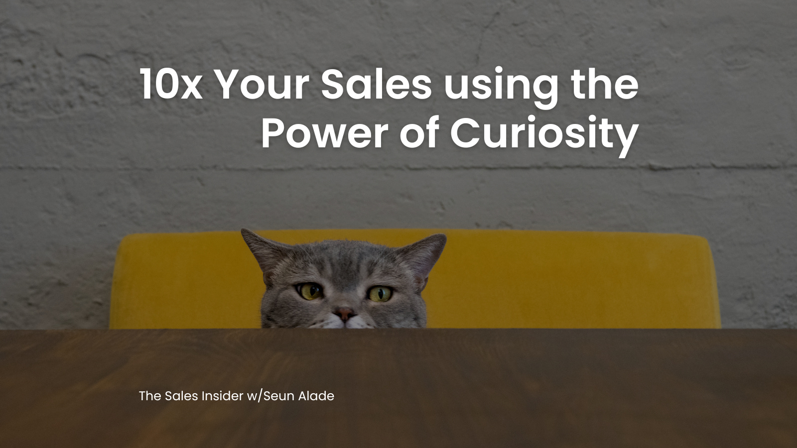 10X Your Sales Using The Power of Curiosity - by Seun Alade