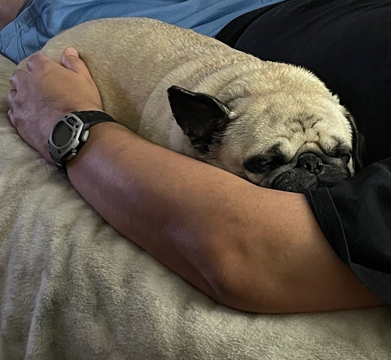 José Duarte | Substack