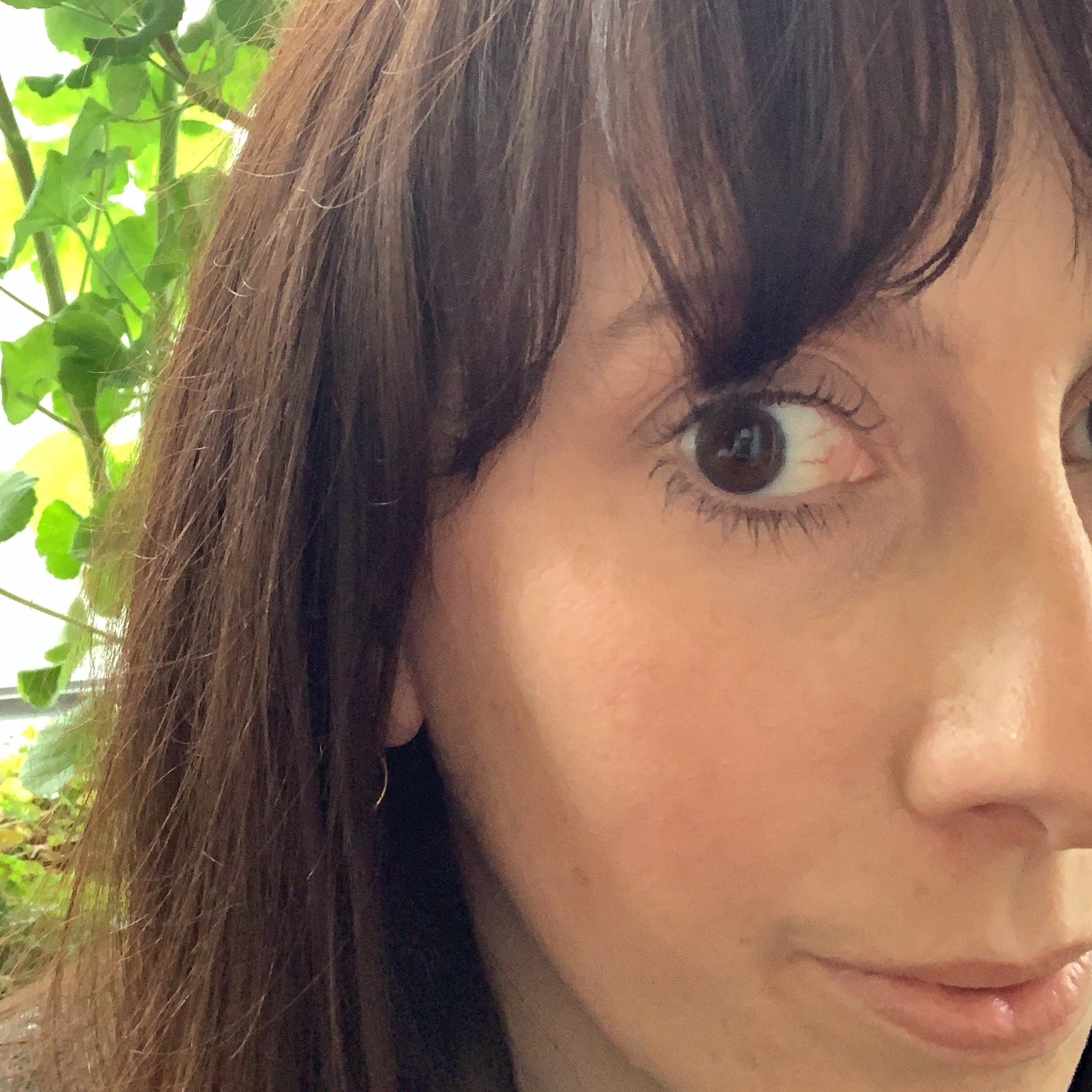 Elizabeth Ives | Substack