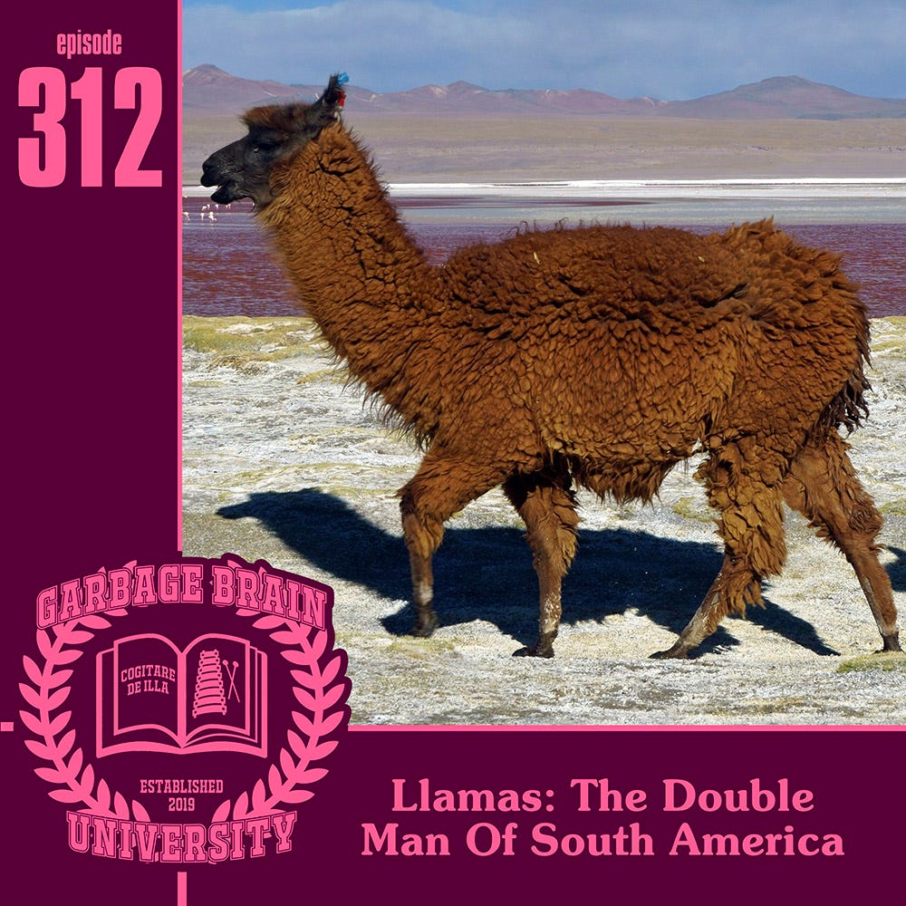 Garbage Brain University | Drew & Natalie Dee | Substack