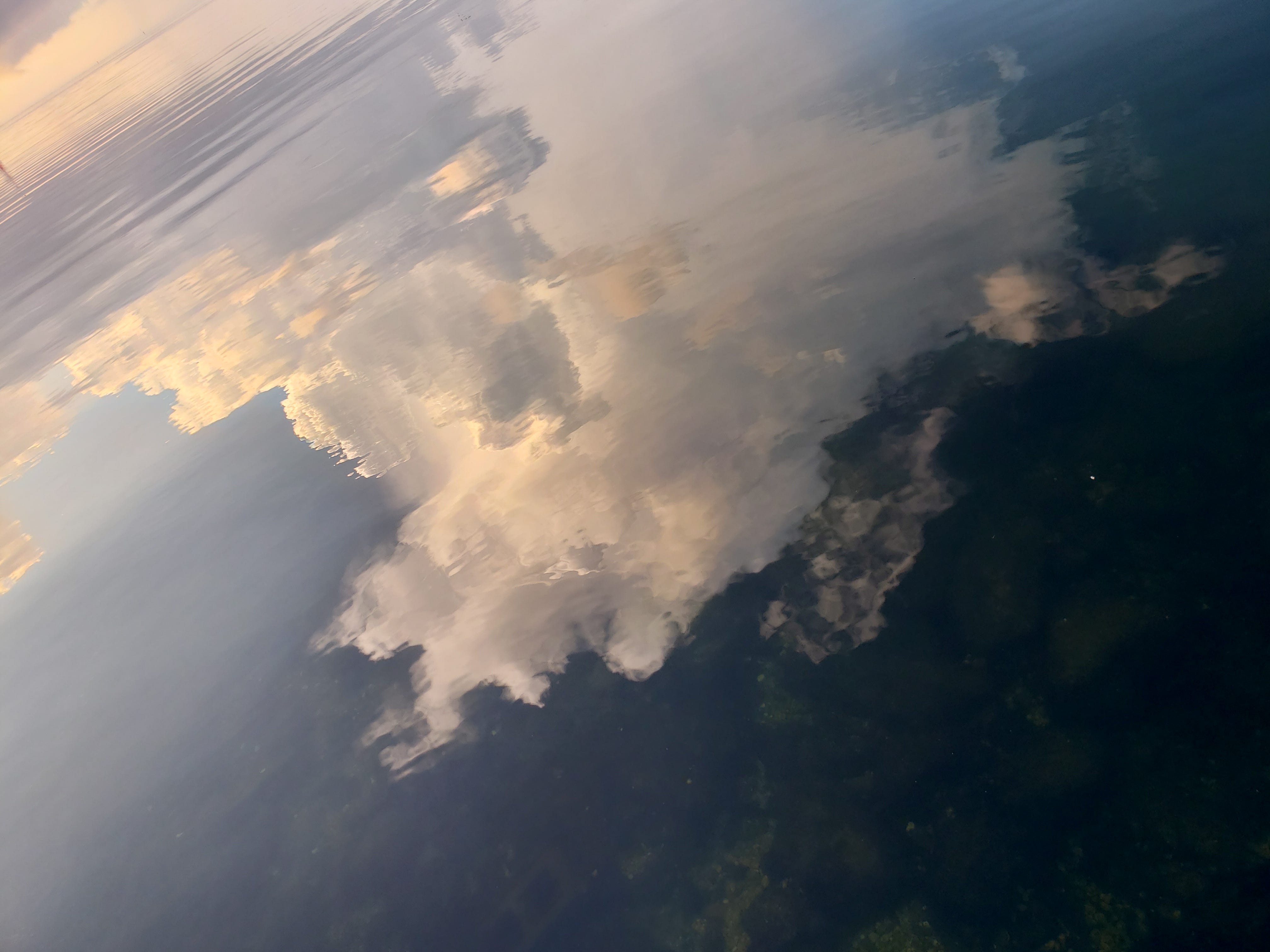 Reverie - Peter Daou