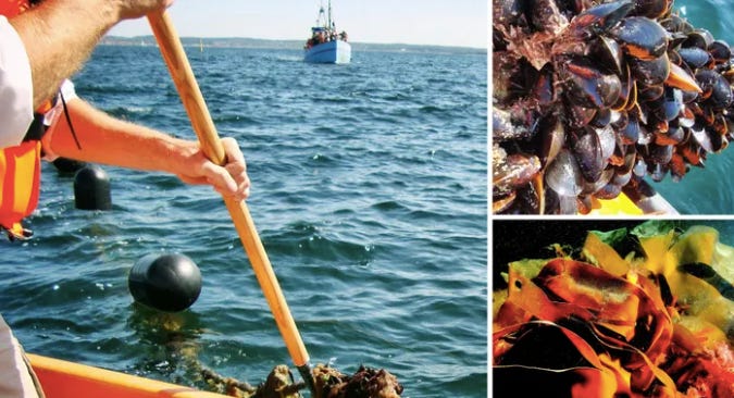 🌱 The Grumpy Optimists News Round-up