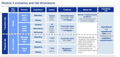 Data Gaps in the ECB Climate Stress Test