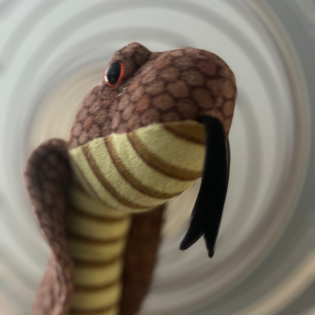 Hiss like a snake - by Steve Geisz