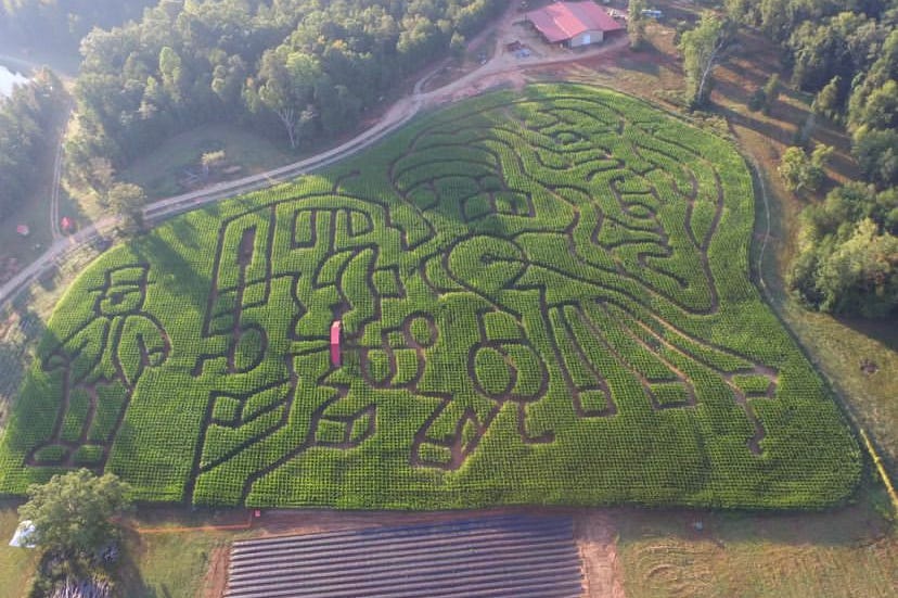 Get your fun on at the Hall Family Farm!