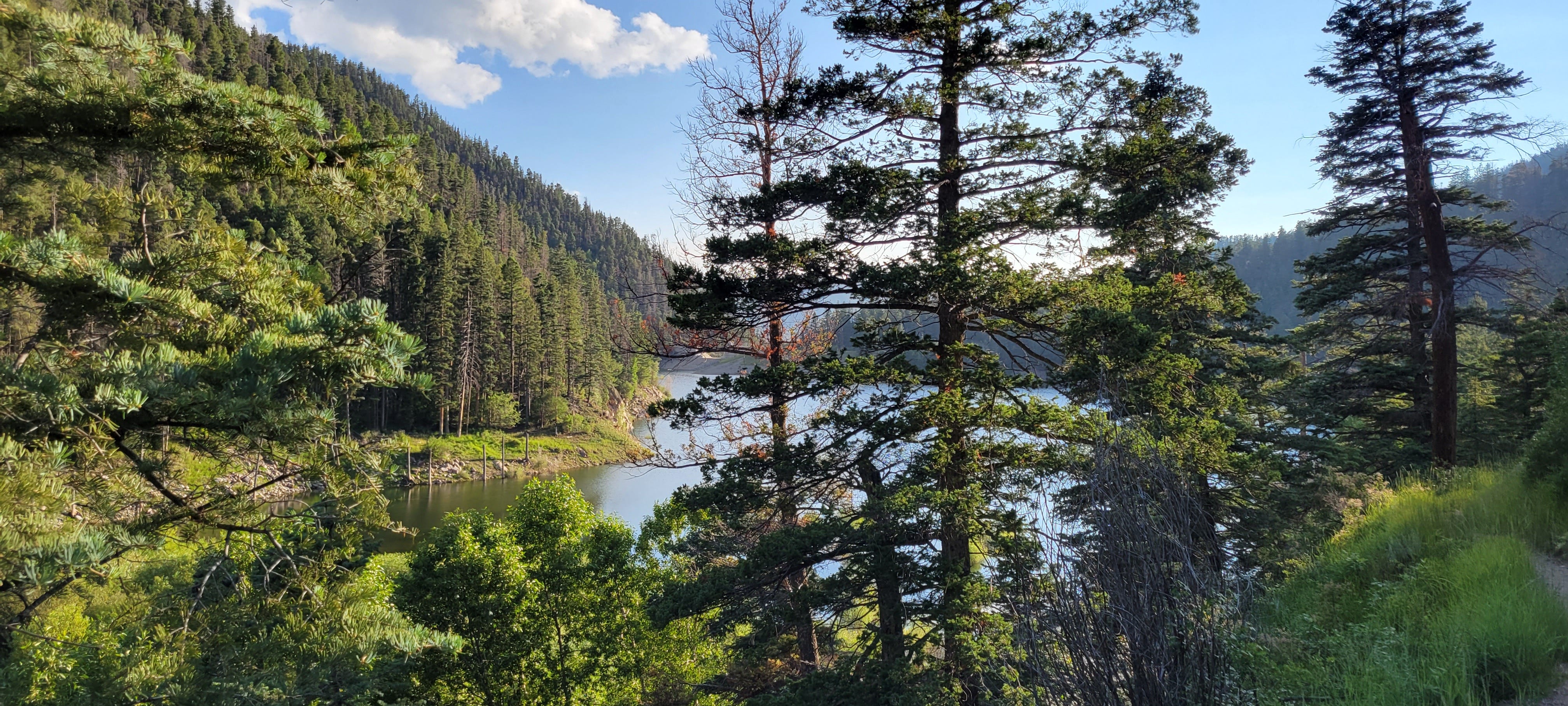 Skinny Dipping in Alpine Lakes - by Johanna DeBiase