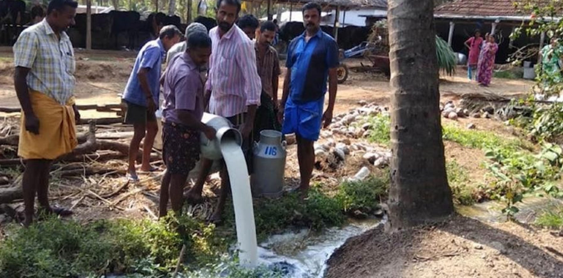 Business Case Study: Amul's Strategy during the Pandemic