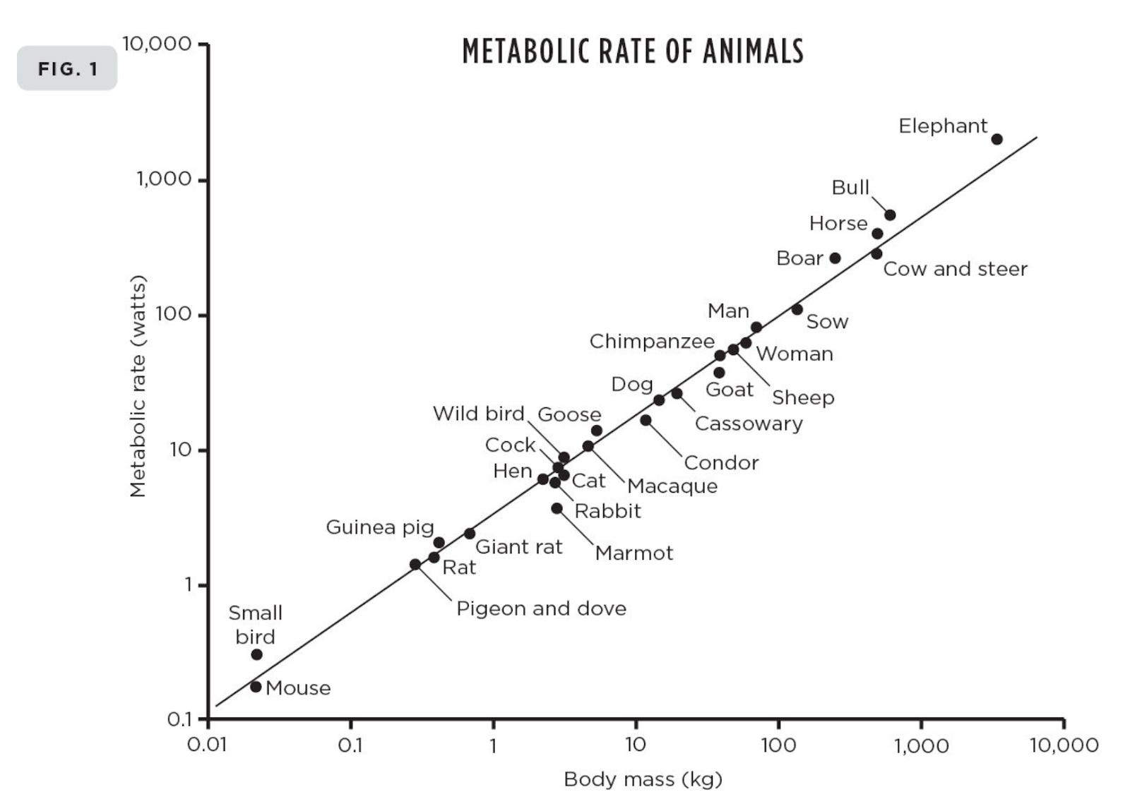 Why is this interesting? - The Bat Edition - by Noah Brier