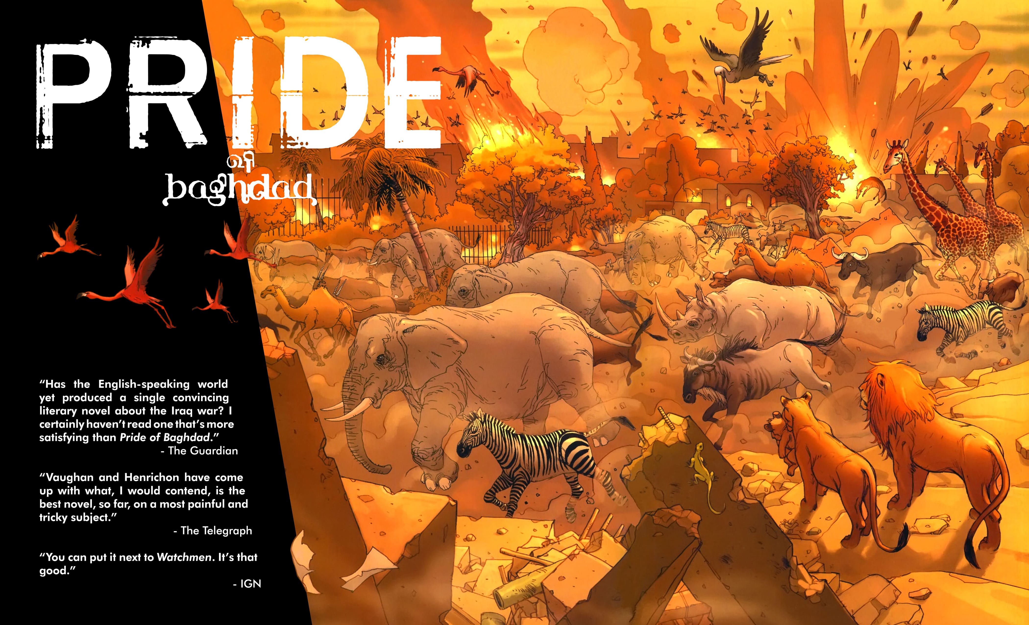 START HERE: Welcome to Exploding Giraffe