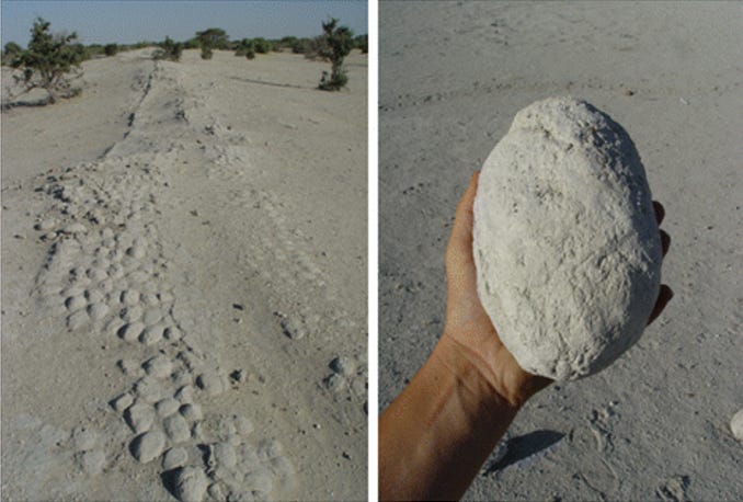 Hausa urban architecture: construction and design in a cosmopolitan ...