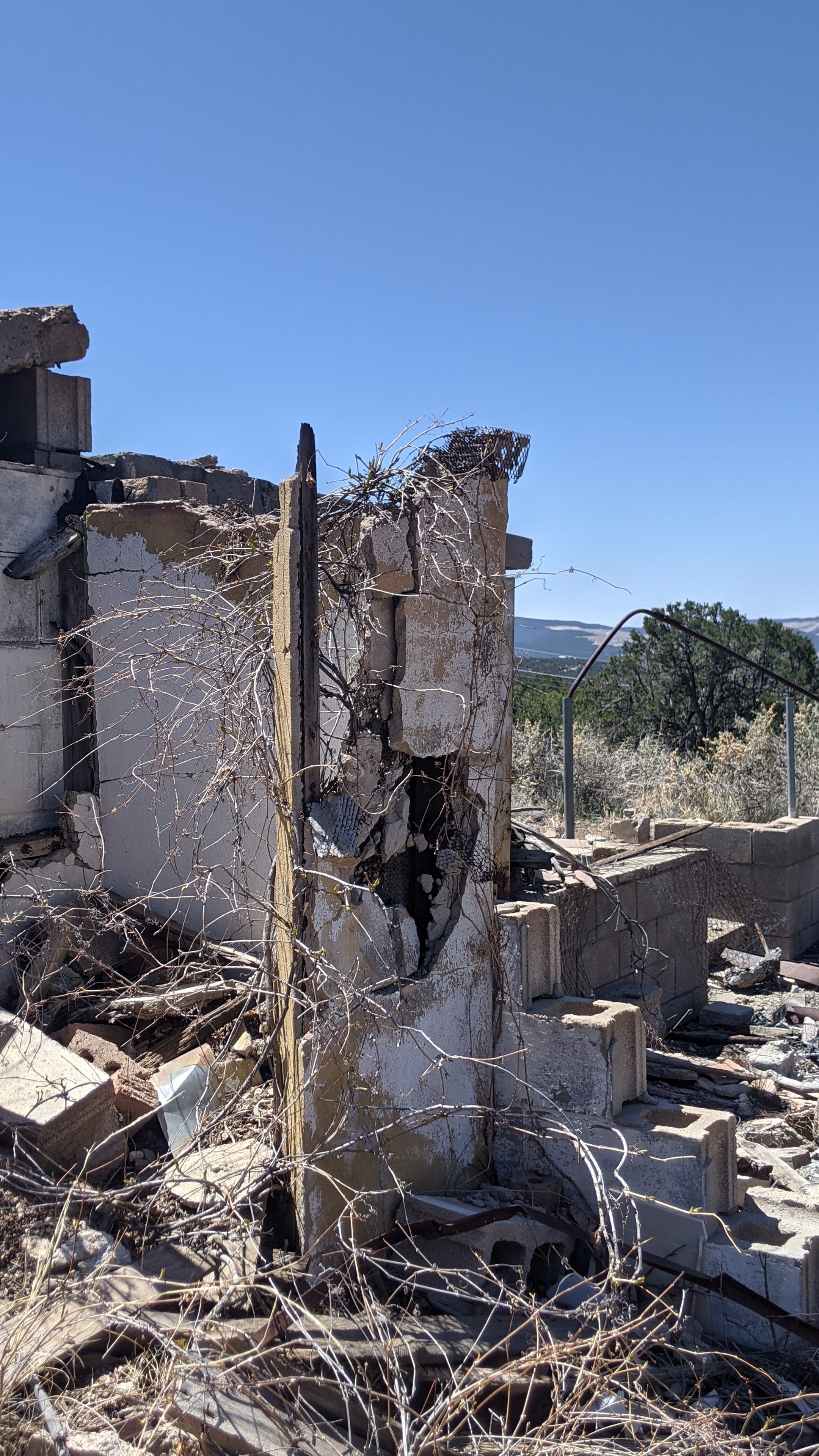 The Burnt-Down House - by Dane Benko