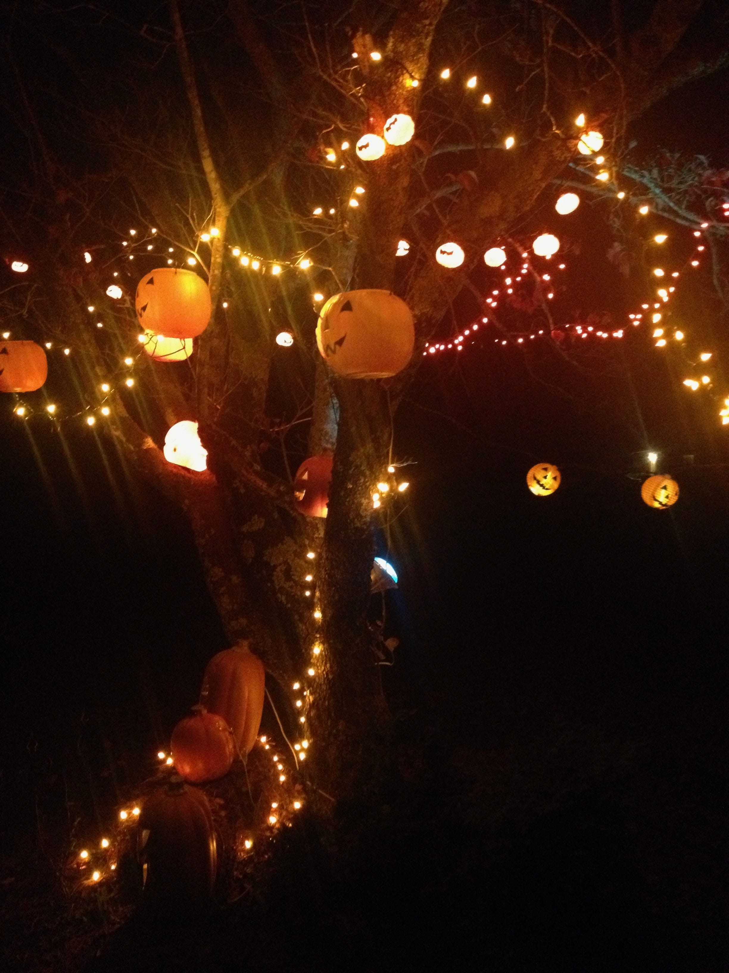 Creepy Paper - by ALISON FIELDS - Tiny Commotions