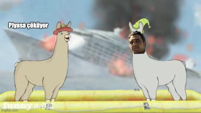 🦙 Lama #2 - by Yusuf Altunbıçak