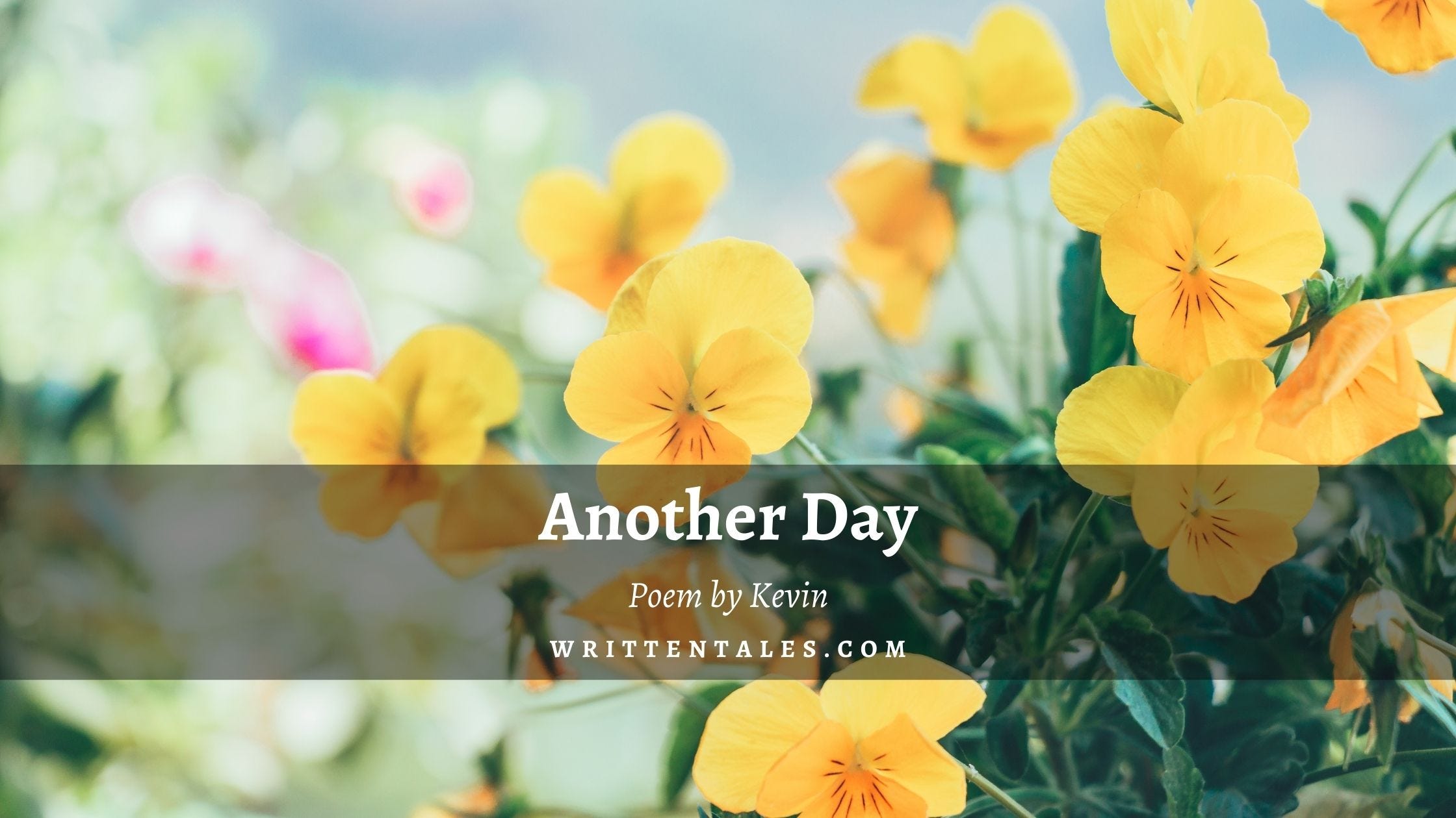 Unveiling God's Creation: 'Another Day' Poem by Words With A Twist ...