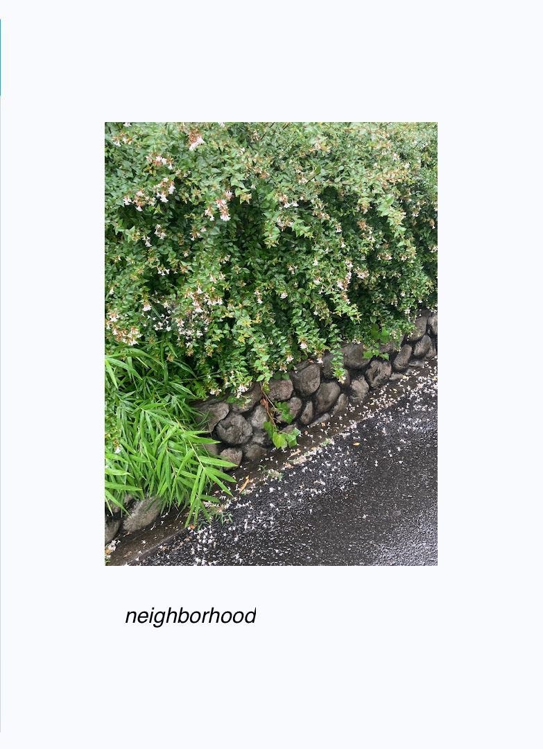 The green of color - by Jes Kalled - Swallow