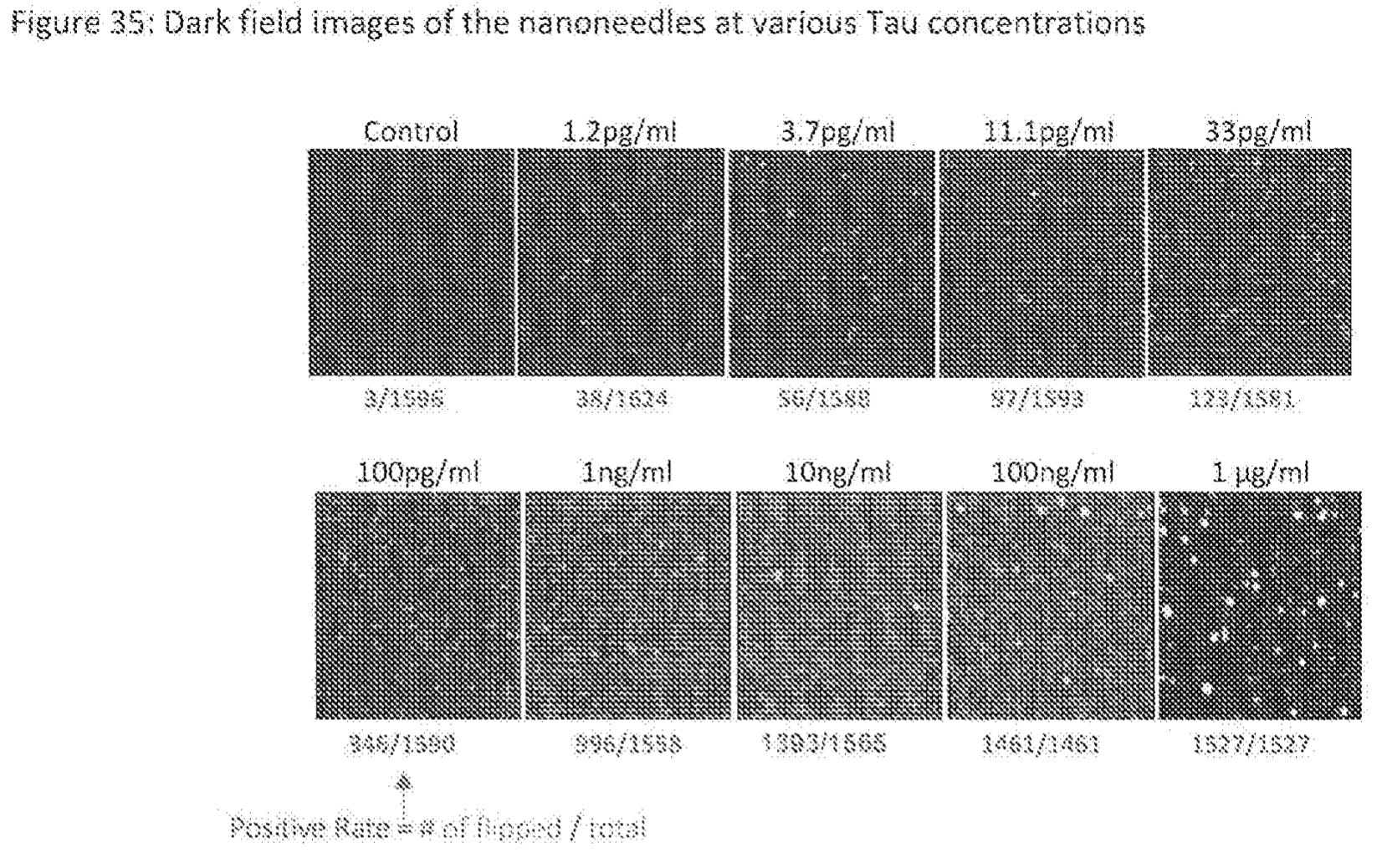 NanoMosaic - High Dynamic Range Proteomics
