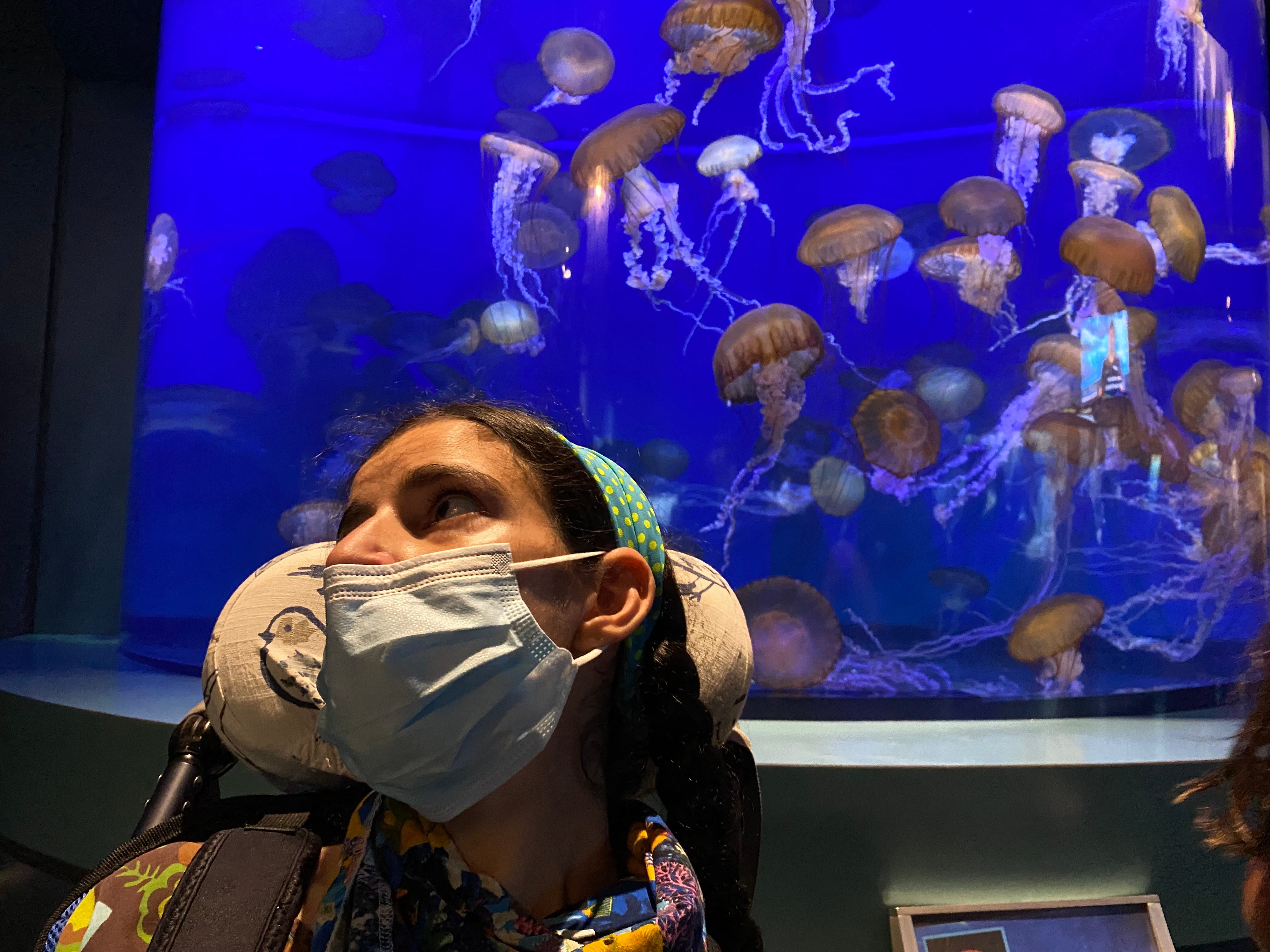 Elizabeth Aquino | Substack