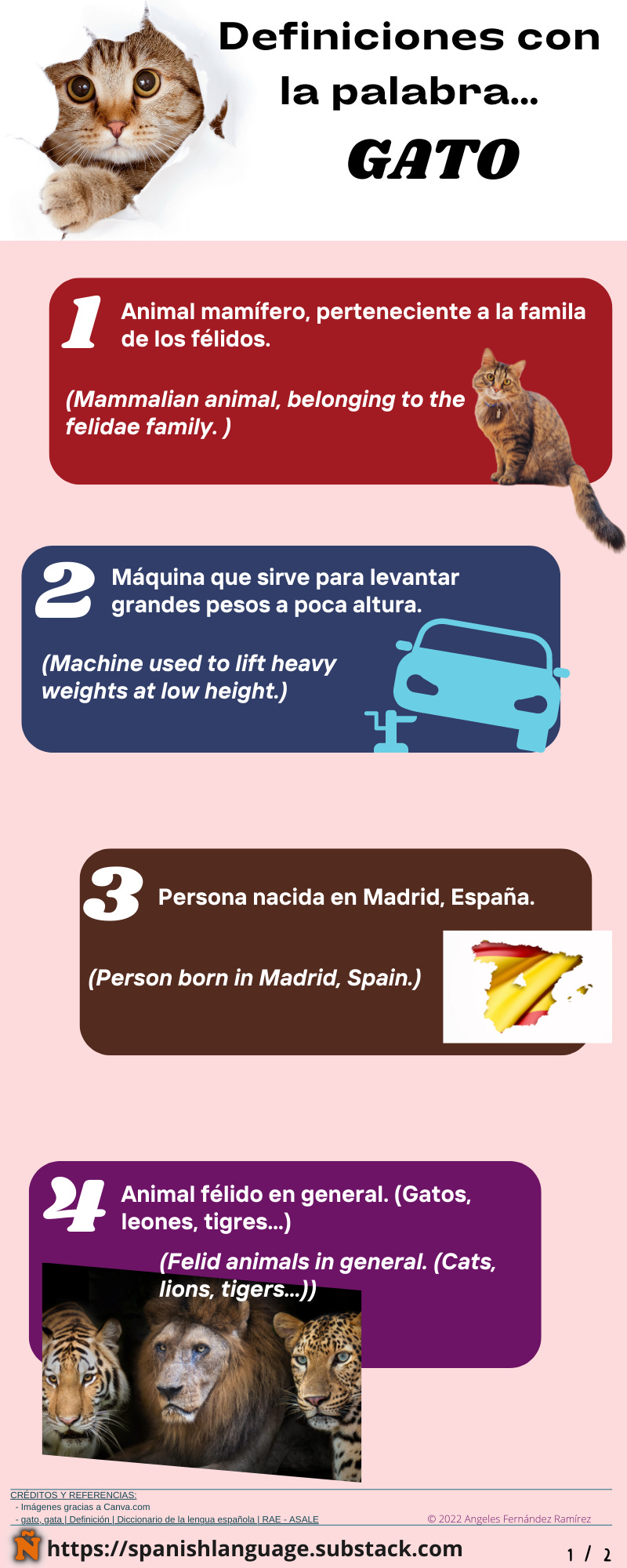 Uses and Expressions of the word "GATO" in Spanish. (#003)