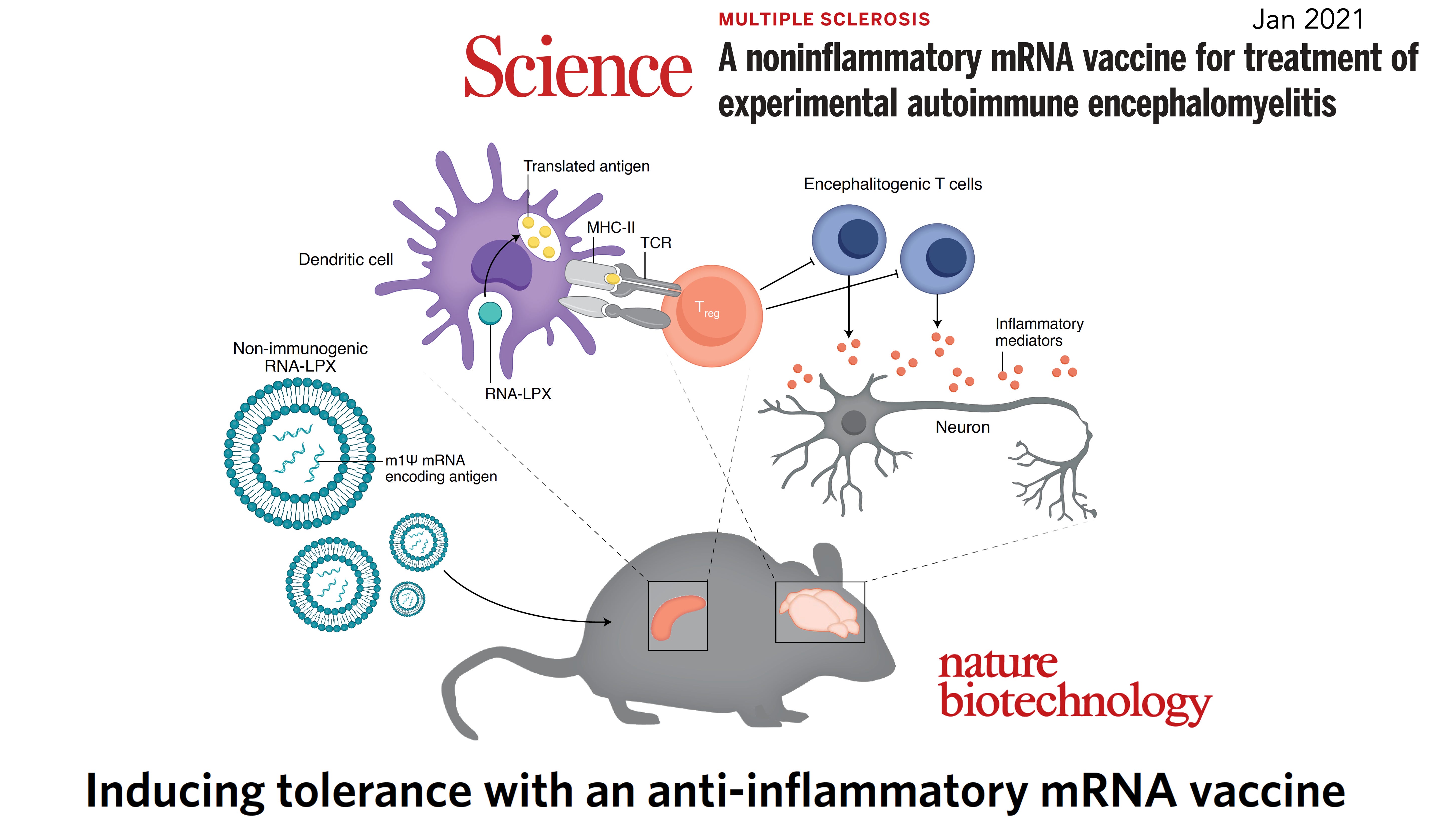 The bright side of the Covid pandemic - by Eric Topol