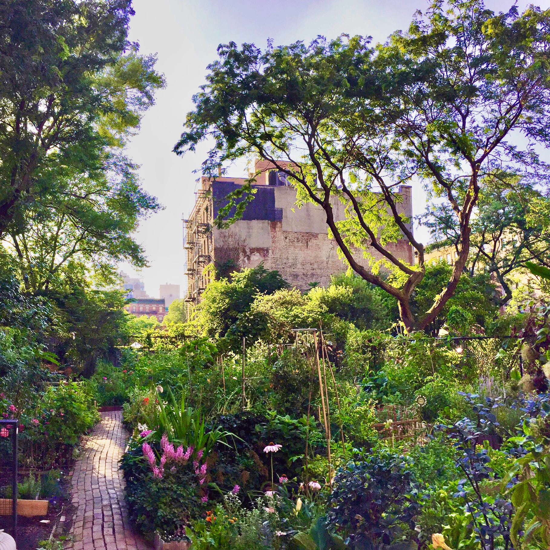 A Walk Through Hell’s Kitchen With Alexander Chee