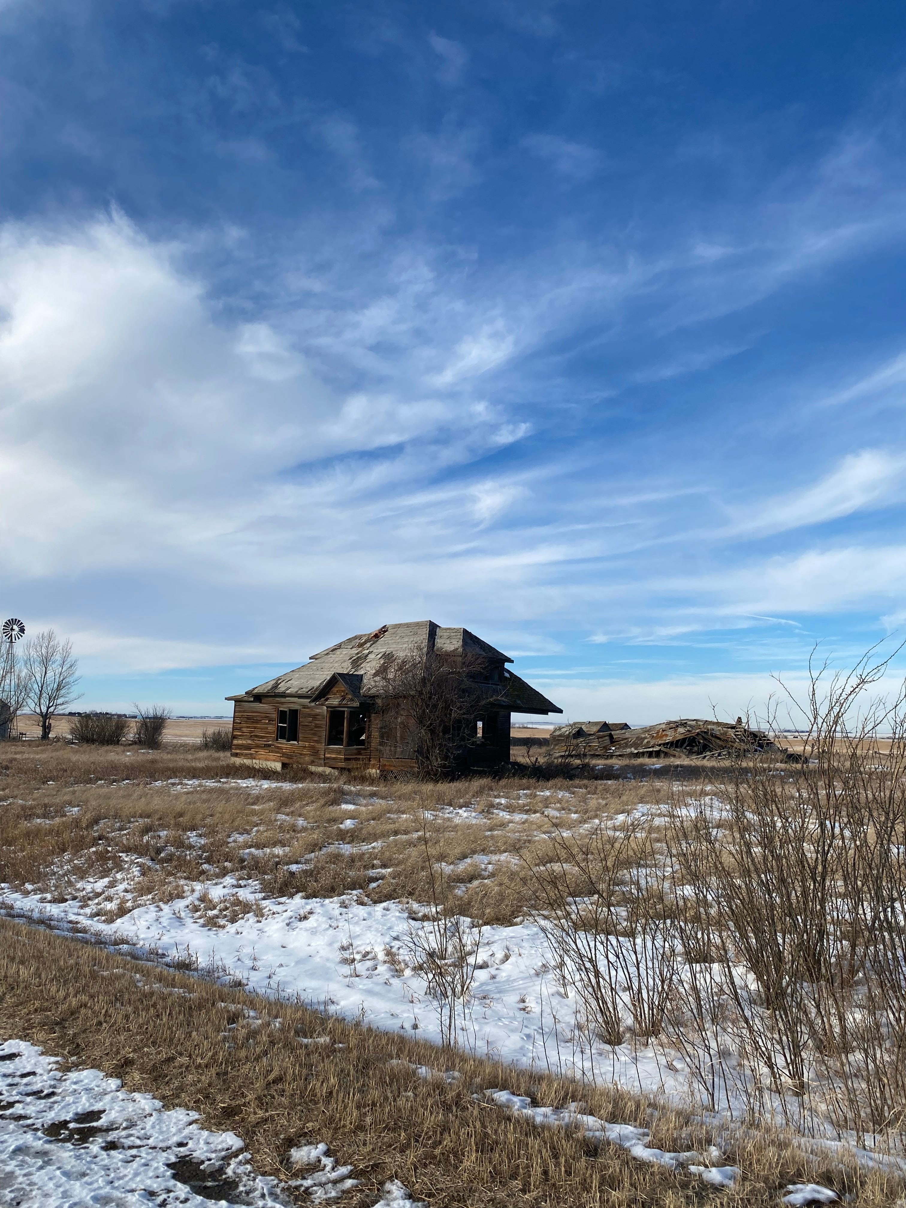 Of Mice and Men - by Monte Solberg - Wonderstruck