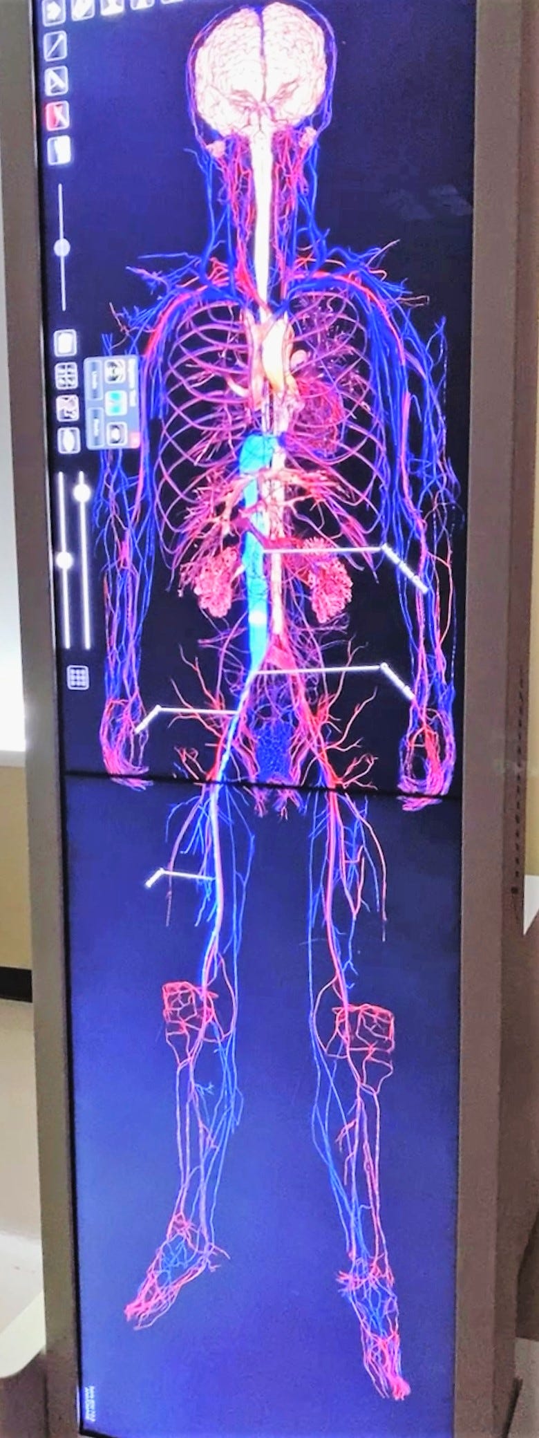 Robot patients are helping train nurses